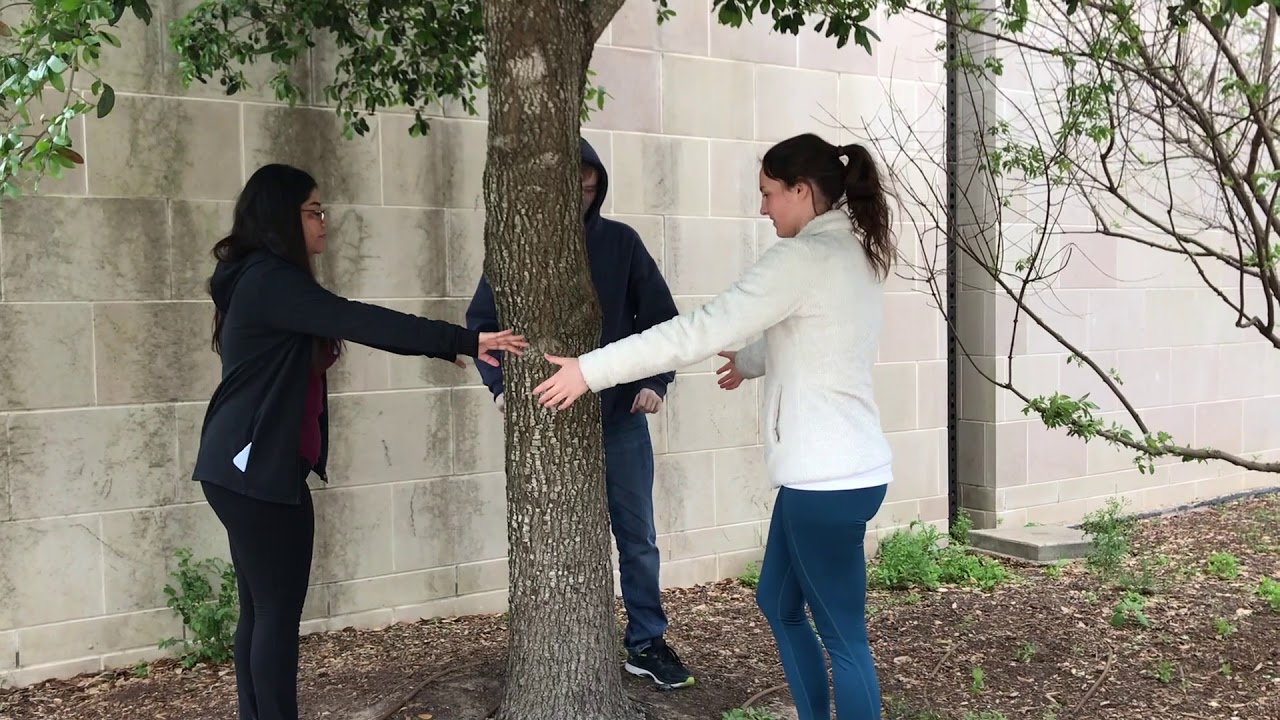 PERF 301 Video Project Final