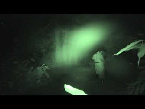 Malaysian Ghost Research - Ghost Cloud Possessing Humanoid Characteristics