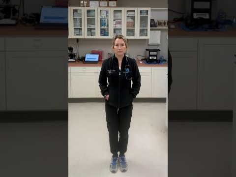 Think you have fun at work? Try working in veterinary medicine!