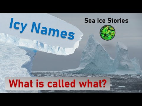 Icy Nomenclature: Which name for which ice?