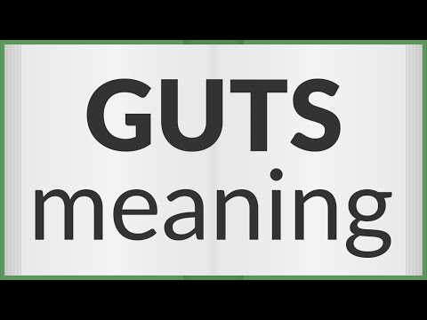 Guts | meaning of Guts