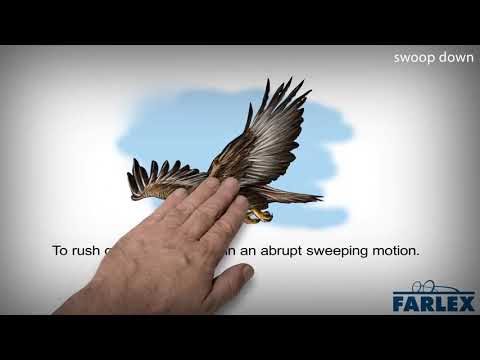 swoop down