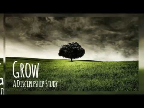 GROW Study – Ouellette Creative