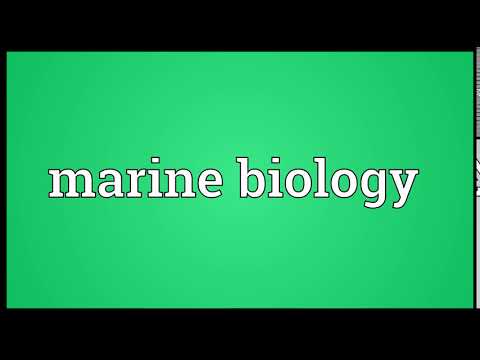 Marine biology Meaning | Wordogram