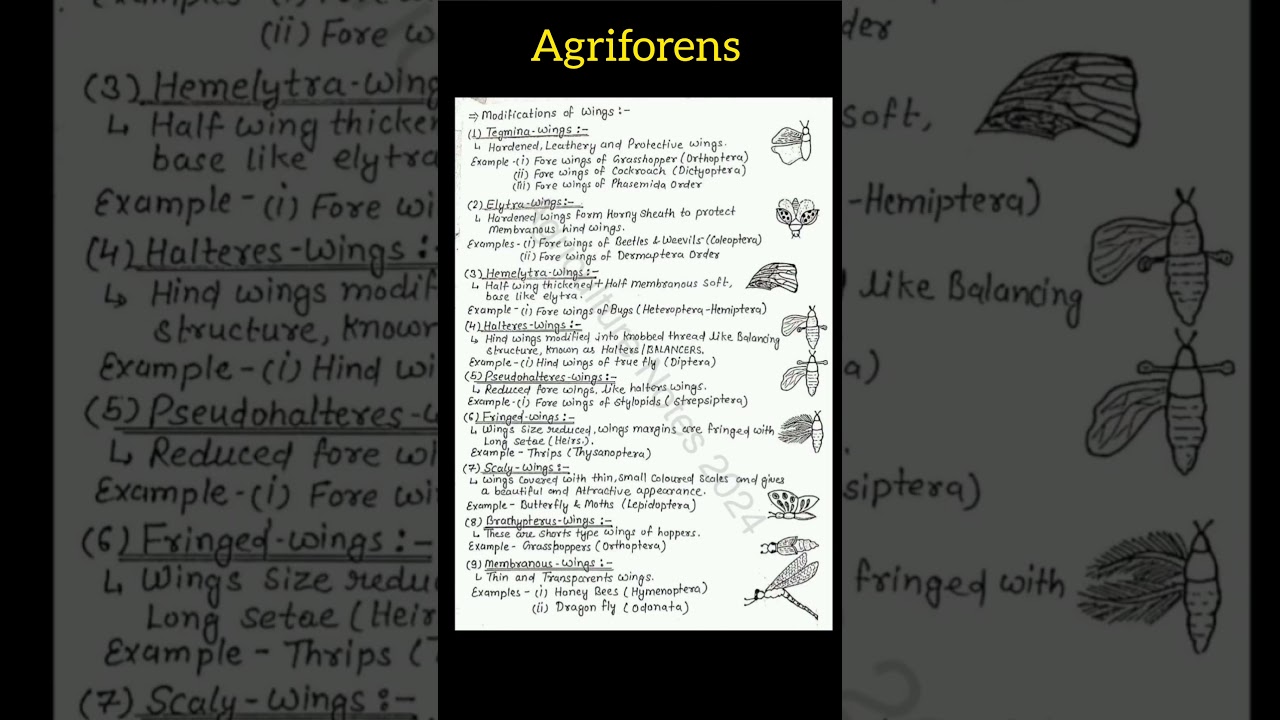 🧐 Entomology Notes 🧐 #book #notes #entomology #college #important #exams #agriculture #education