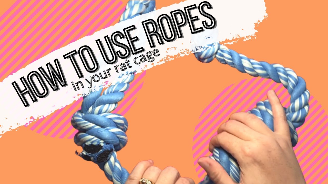 Ropes for Rat Cages (How To)
