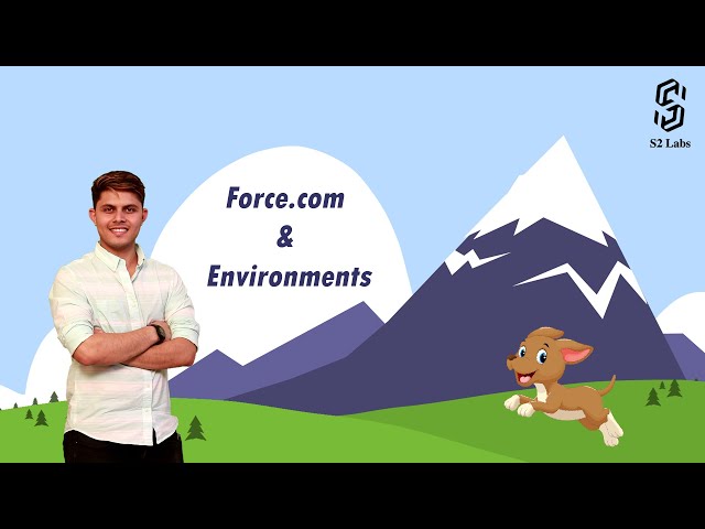 Salesforce Environment: Benefits, Characteristics and It's Uses