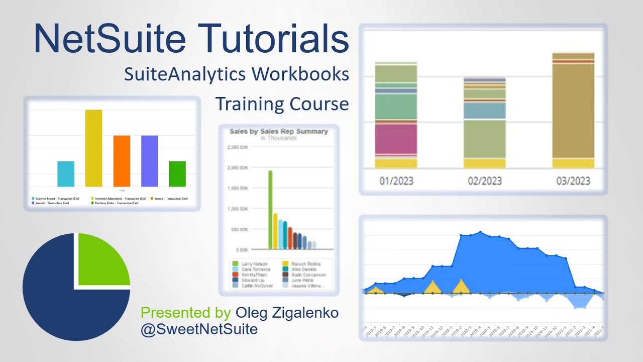 NetSuite SuiteAnalytics Workbooks Training Course Tutorial