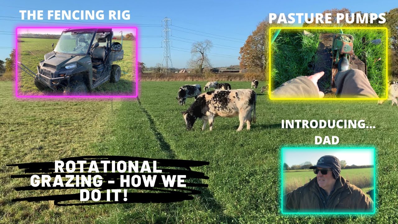 ROTATIONAL GRAZING - HOW WE DO IT