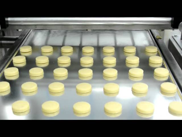 Snacks Stamping Machine - Biscuits Cookies Wirecut Machine TF ...