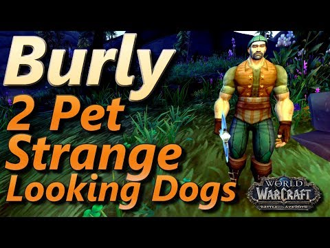 Burly WoW 2 Pet Leveling Strategy Pet Battle World Quest Strange Looking Dogs BFA
