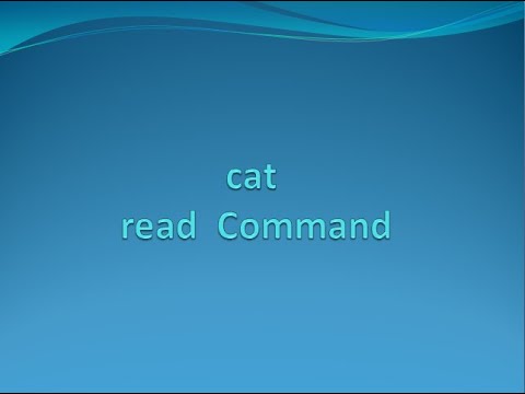 cat command Linux - Linux Tutorial in Urdu