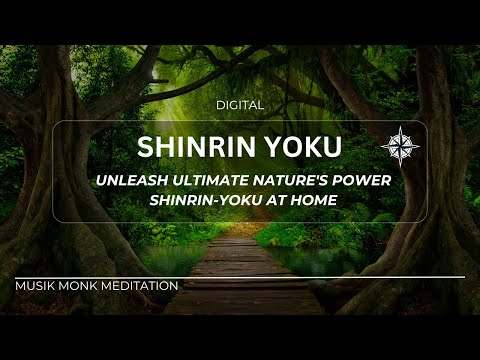 🌲Digitales Waldbaden - Dein Weg zu Entspannung und Heilung & Shinrin Yoku - 7,83 Hz Schumannfrequenz