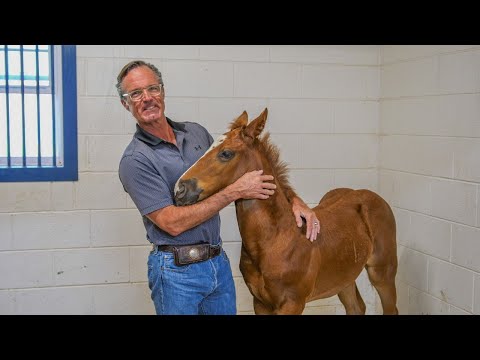 Virginia Equine - Meet the Vet: Dr. Douglas K. Daniels