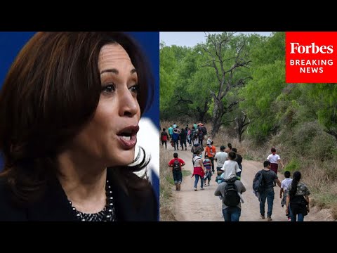 VP Kamala Harris: "We will enforce the law" on the southern border