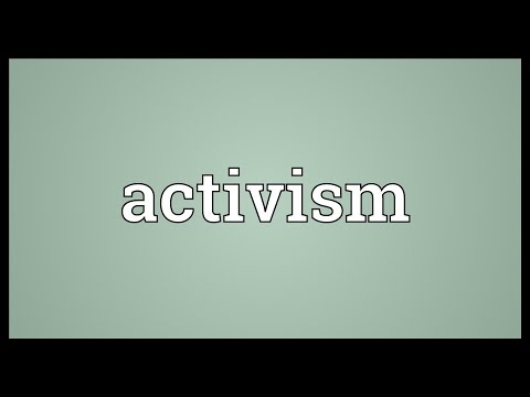 Activism Meaning