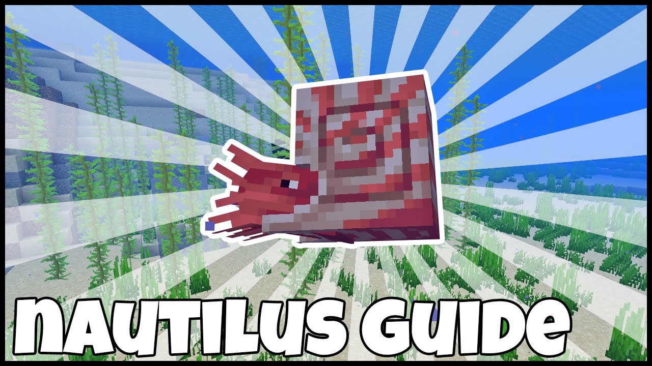 MINECRAFT NAUTILUS GUIDE