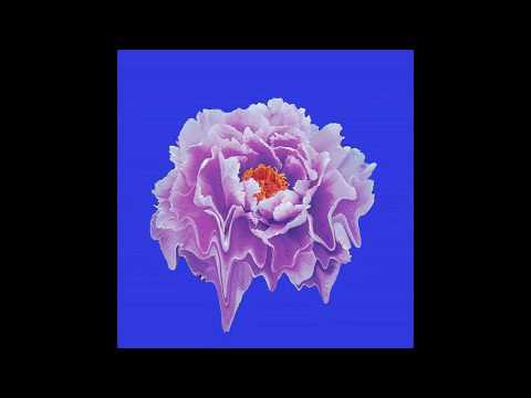 Synthetic Memories - Pleasure Nature | Baixar.mus.br