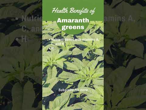 Health benefits of Amaranth Green