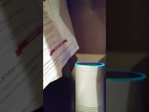 I found an Alexa and asked her if people are good