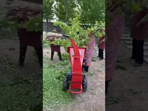 Small Useful Twig Shredder #satisfying #shortsvideo