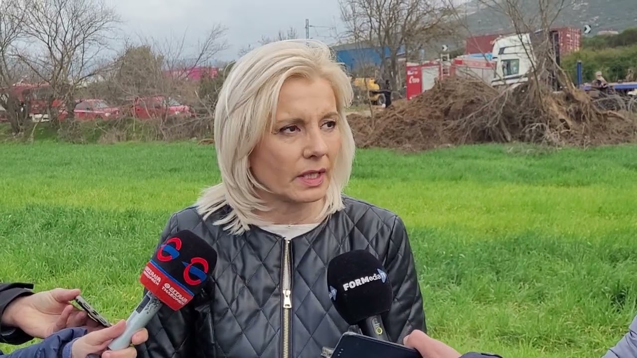 Καραλαριωτου: Να διερευνηθουν τα αίτια και να αποδοθούν ευθύνες ...