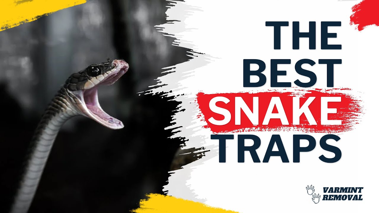 Top Snake Traps That Actually Work - Protect Your Home and Garden!