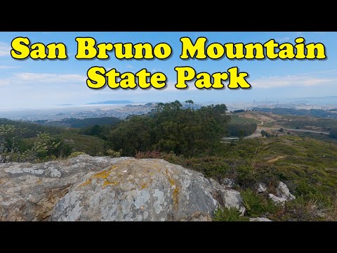 San Bruno Mountain + Little Lucca Sandos | Bay Area Hiking