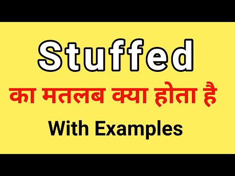 Stuffed Meaning in Hindi | Stuffed ka Matlab kya hota hai | Word Meaning English to Hindi