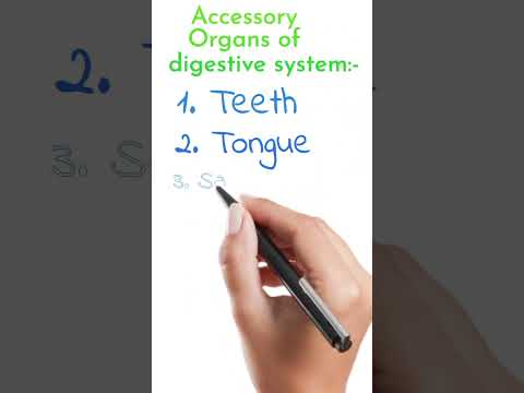 Name the accessory Organs of digestive system
