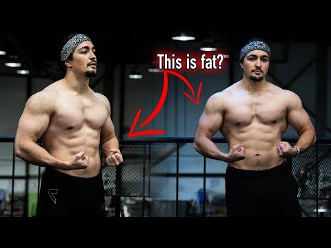 THIS Is Considered FAT In YouTube Fitness