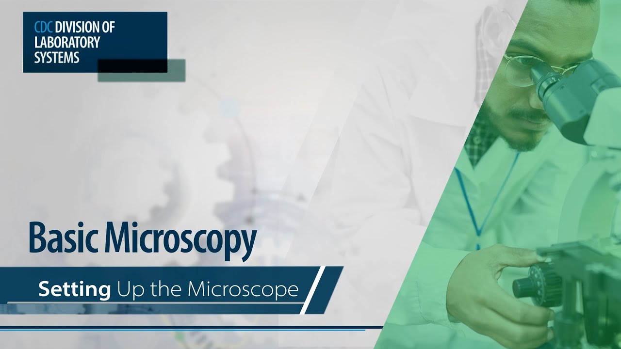 Basic Microscopy – Setting Up the Microscope