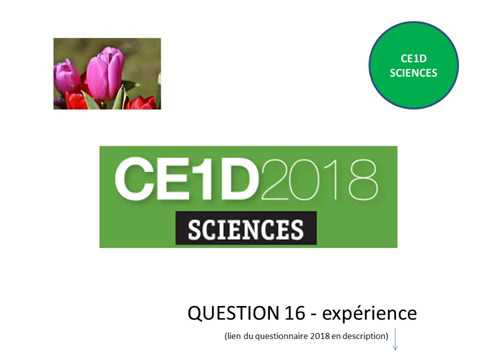 CE1D 2018 question 16 + corrigé