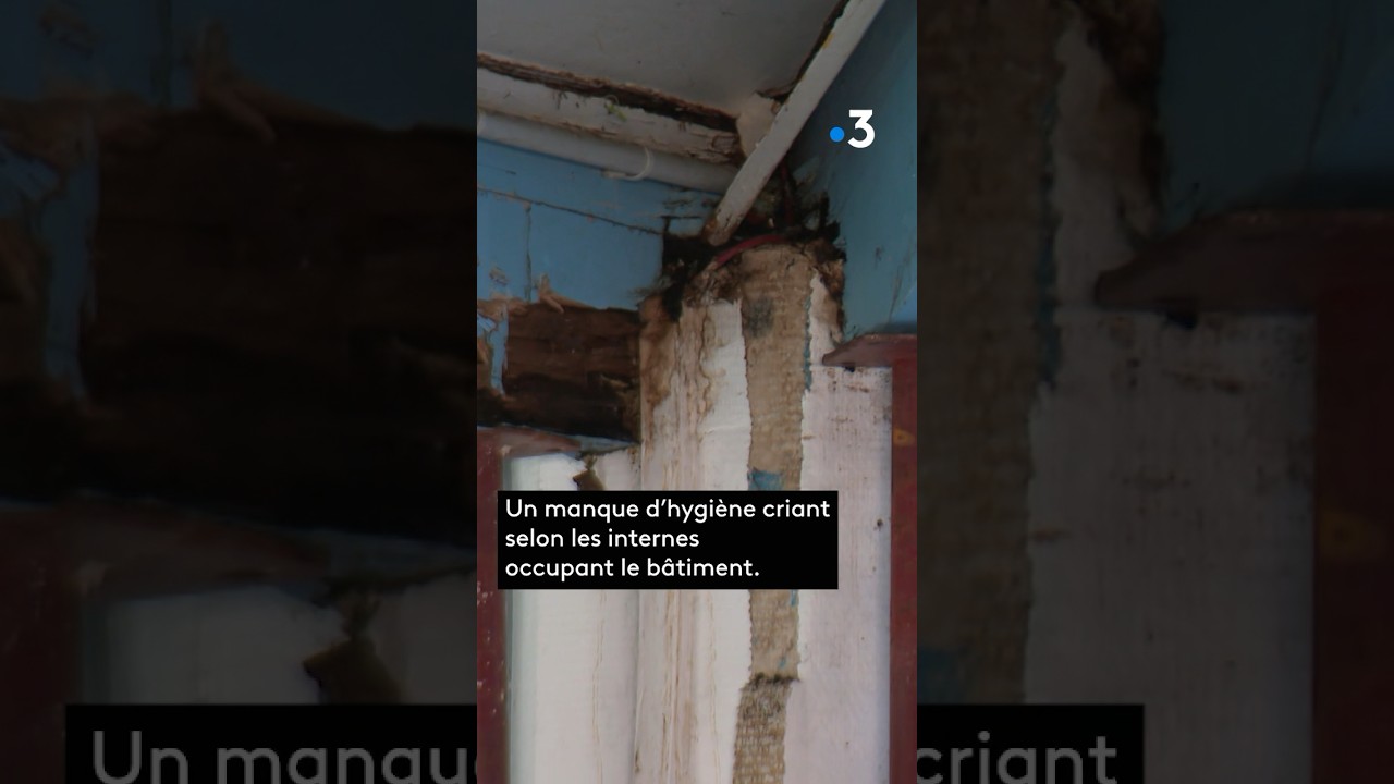 L'état déplorable de l'internat de la Timone à Marseille - Cannes Tendances