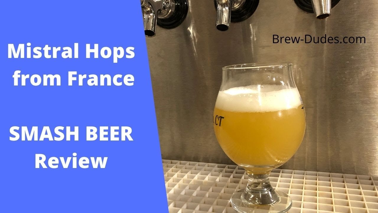 What Do Mistral Hops Taste Like?  SMaSH Beer Experiment