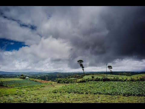This Man Has One of the Toughest Weather Forecasting Jobs