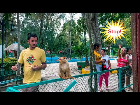 A Day at the Zoo in Cuba