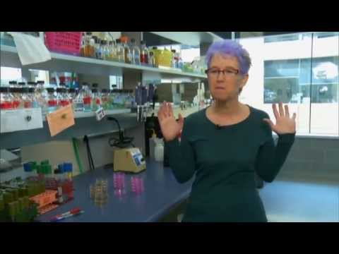 The MOOC
