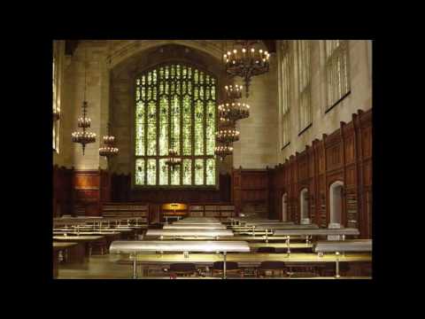 The best law school