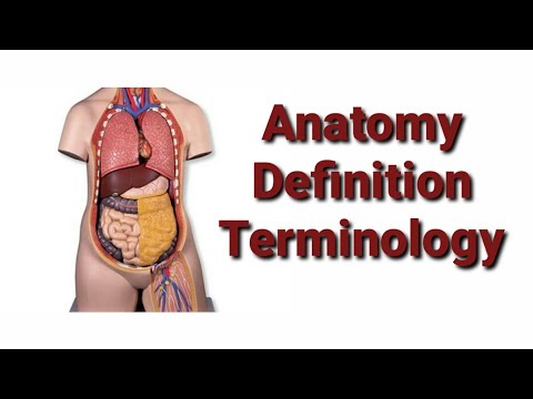 Introduction of Anatomy/ Definition of Anatomy/ Terminology of Anatomy in Hindi
