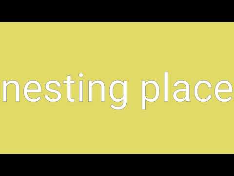 Nesting Place Definition & Meaning