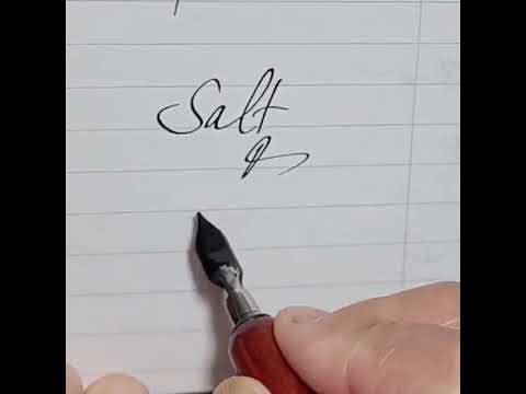 Salt&Pepper with nip pen *Findtheway writing