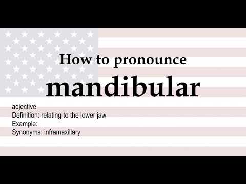 How to pronounce 'mandibular' + meaning