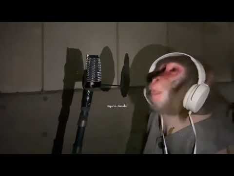 Steam Community :: Video :: Monkey Mixtape