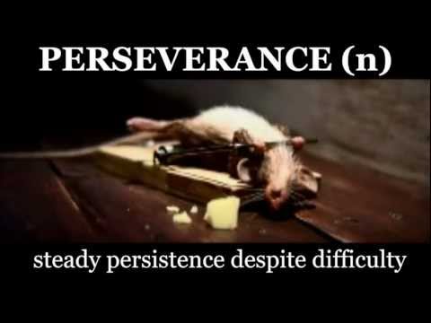 TingoEd Vocab Video - PERSEVERE