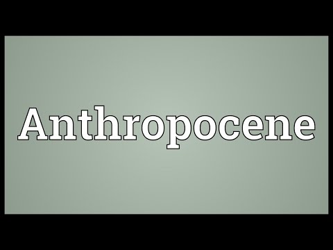 Anthropocene Meaning