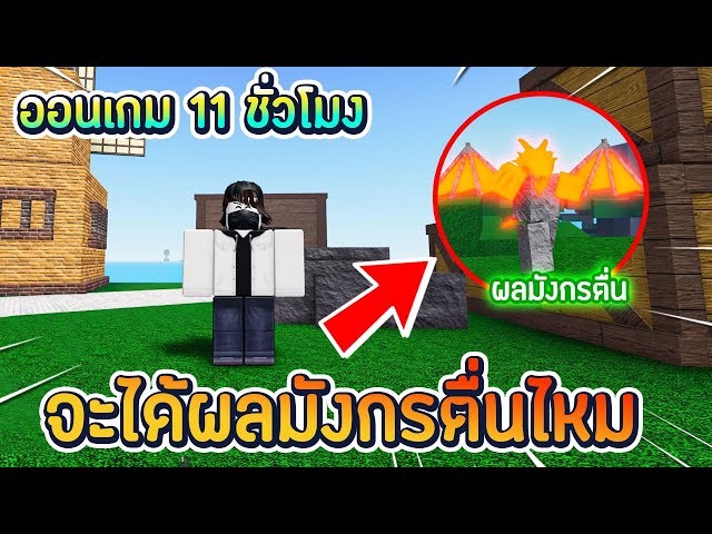 Roblox | Two Piece #15 ออนเกม 11 ชั่วโมง จะได้ผลมังกรตื่นไหม | วิธีหา Dragon Awken | วิดีโอครีเอ ...