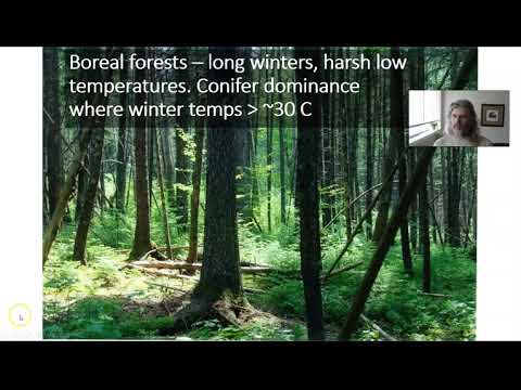 2 - Boreal forests