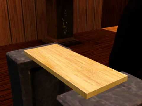 The Sims 3 (Short Clips) - Martial Arts