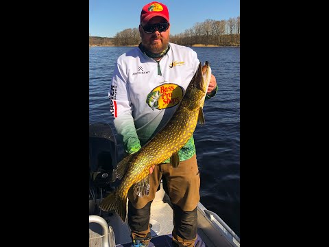 Spinnfiske från driftande båt med betesfisk på släp bakom paravan ...